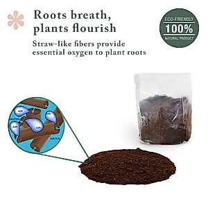 Window Garden Expanding Organic Fiber Soil 12qt and Hydrating Bag, Potting Soil for Planting Indoors or Outdoors, Plant Soil for Any Seed Starting Kit, Microgreens or Succulent, Easy-to-Store Soil