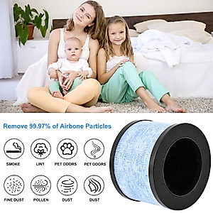 MK06 H13 True HEPA Filters Replacement for AROEVE MK01 MK06 and Kloudi Air Purifier DH-JH01, Intelabe EPI080/EP1080, Elechomes EPI081/EP1081, H13 Premium True HEPA Filter, 2 Pack