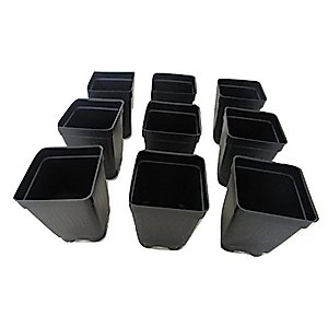 2.5" Square Extra Deep Landmark Nursery Pots - Press Fit (100)