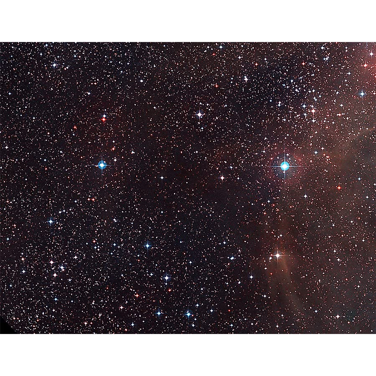 HS-46 Segull Nebula Star disc for The Homestar Flux