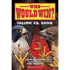 Falcon vs. Hawk (Who Would Win?) (23)