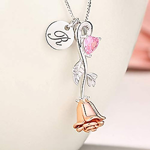 Getname Necklace Personalized Rose Heart Birthstone Necklace with A Initial Round Tag 925 Sterling Silver for Her Women Valentine?¡¥ Day Gifts