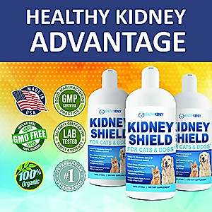 Dog and Cat Kidney Support, Canine Feline Renal Health Support Supplement For Normal Kidney Function, Creatinine, Detox, Urinary Track Cleansing, Best Kidney Stuff, Improve Pets Alive an Kidney Health