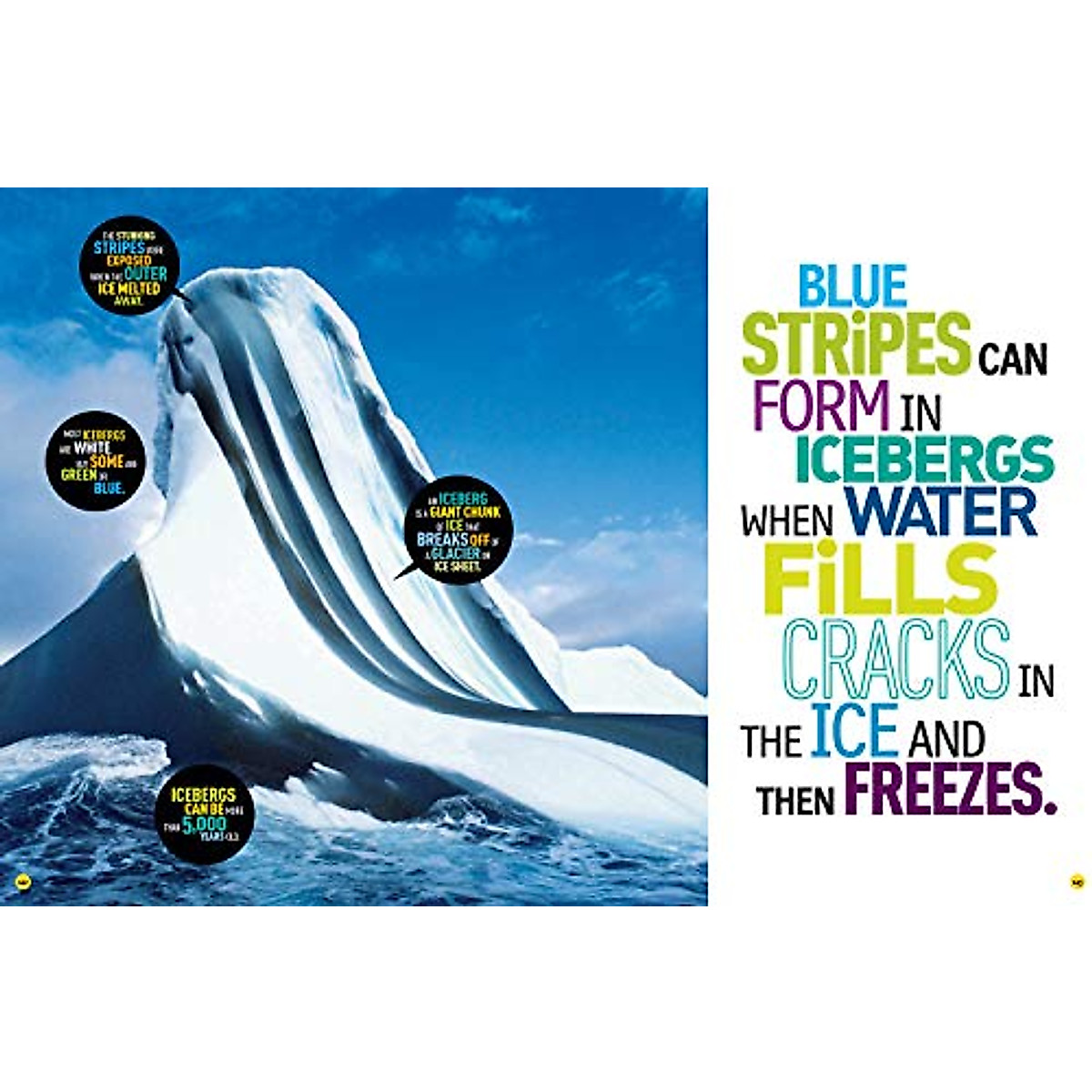 National Geographic Kids Ultimate Weird but True!: 1,000 Wild & Wacky Facts and Photos