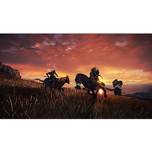 Bandai Namco Entertainment Elden Ring (PS5)