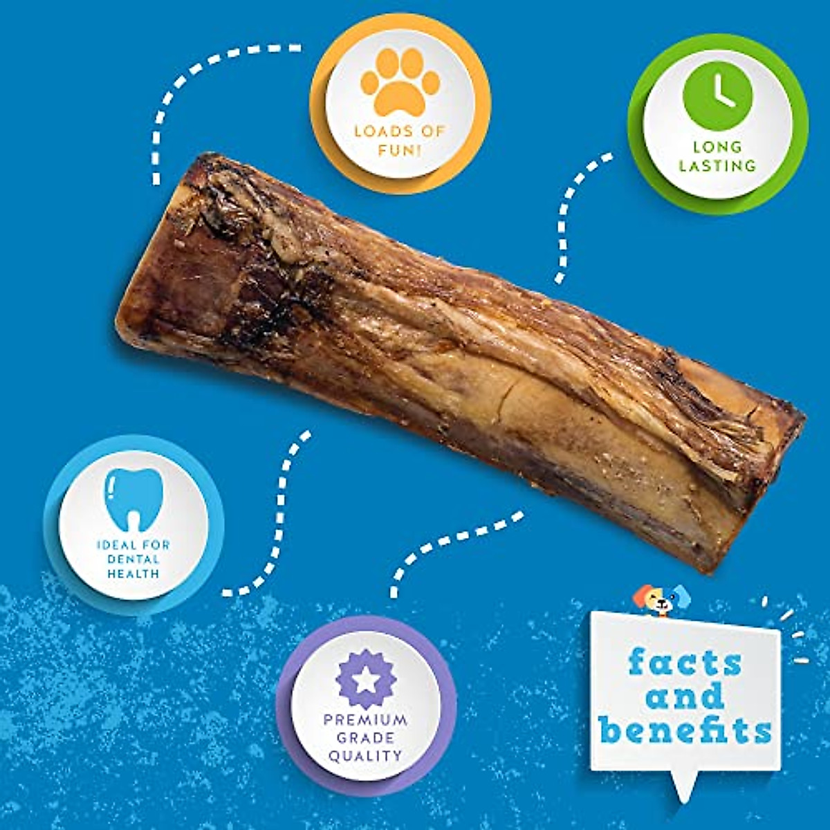 Jack&Pup Dog Bones for Aggressive Chewers (3 Pack) Premium Grade Roasted Marrow Bones for Dogs – 6 inch Dog Bones for Large Dog - All Natural Gourmet Treat Chews – Long Lasting Chew (3 Piece Pack)