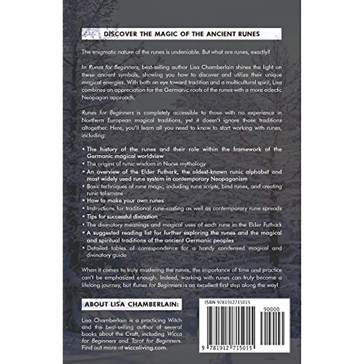 Runes for Beginners: A Guide to Reading Runes in Divination, Rune Magic, and the Meaning of the Elder Futhark Runes (Divination for Beginners Series)