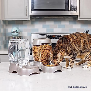 Petmate Pet Cafe Waterer Cat and Dog Water Dispenser, pearl silver gray, 0.25 GAL (24436)