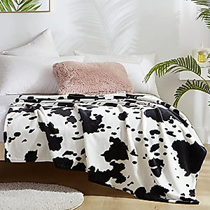 KING DARE Cow Print Blanket Soft Cozy Fleece Flannel Cow Blanket for Couch Bed Plush Autumn Lightweight Sofa Throws for Adults Black and White Cowhide Bedroom Decor (50 x 60 in)