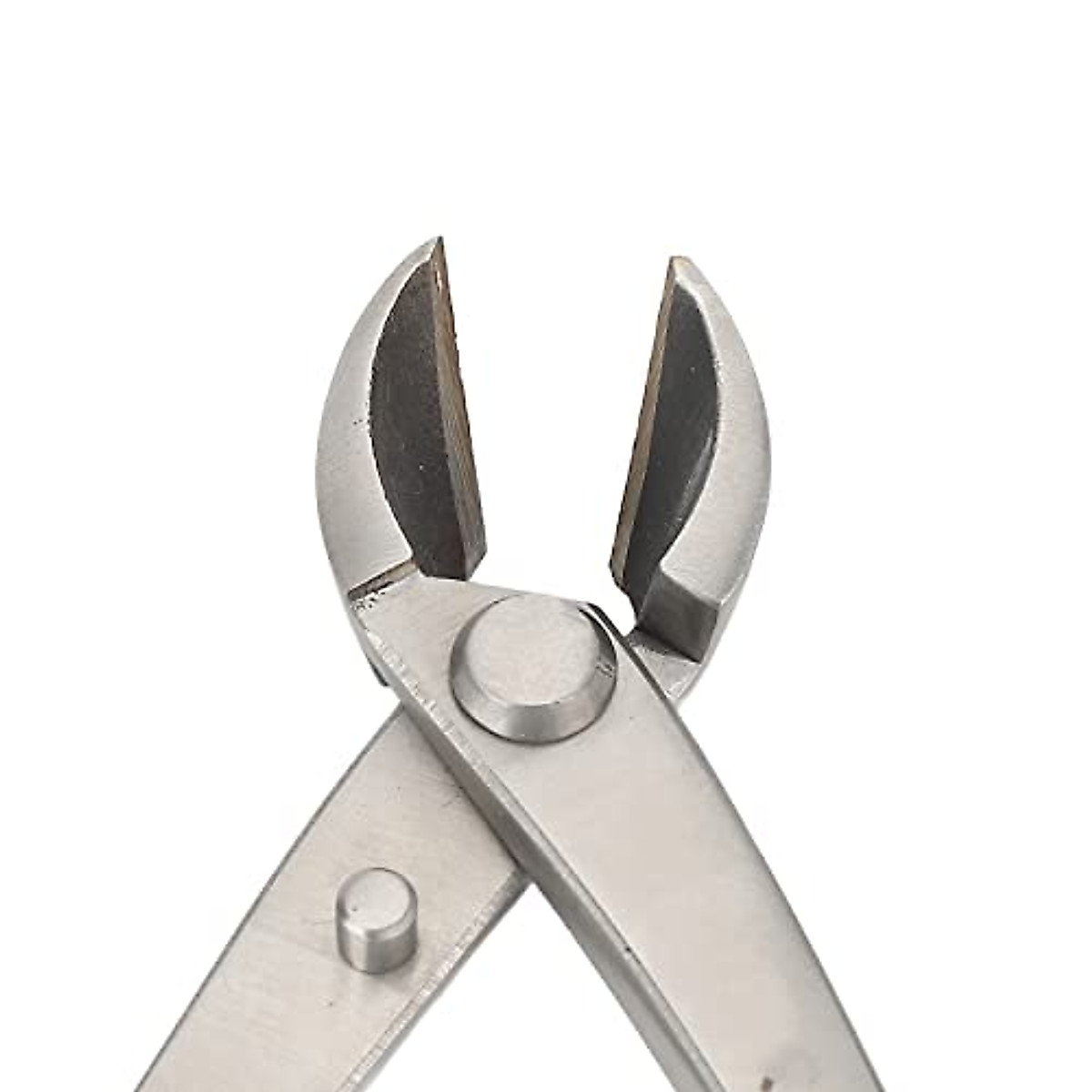 Hand Forged Bonsai Concave Branch Cutter, 165mm Round Concave Branch Cutter, Stainless Steel Bonsai Tree Knob Cutter Concave Cutter, Bonsai Cutting Tool for Garden