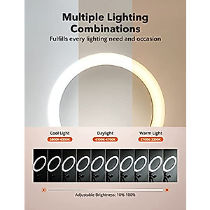 12" Ring Light, Selfie Ring Light with 3 Color Modes, Adjustable Brightness, Extendable Tripod Stand, 2 Phone Holders, Bluetooth Remote Shutter for Photography/Makeup/Vlogs/Live Stream/YouTube…