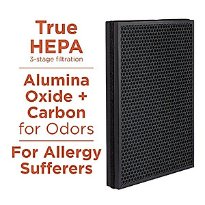 Aprilaire Allergy True HEPA Room Air Purifier 9550 with 3-Stage Filtration, Captures Allergens & Odors, Ozone Free, 495 sq. ft. Rooms