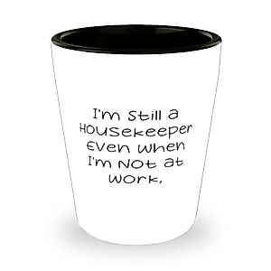 Special Housekeeper, I'm Still a Housekeeper Even When I'm Not at Work, Inappropriate Shot Glass For Friends From Team Leader