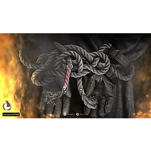 Chicken Police (Nintendo Switch)