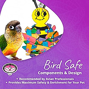 Super Bird Creations SB391 Sm. Buzbee Bird Toy, Small/Medium Bird Size, 9" x 4" x 4"