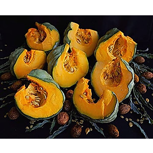 TomorrowSeeds - Jarrahdale Blue Pumpkin Seeds - 20+ Count Packet USA Garden Vegetable Winter Squash Kabocha Gray Cinderella Gourd Fall Seed