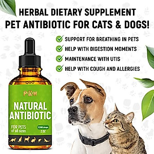 Dog Vitamins and Supplements Liquid | Cat Vitamins | Antibiotics for Dogs | Antibiotics for Cats | Dog Probiotic | Cat Probiotic Liquid | 3 x 2 Oz