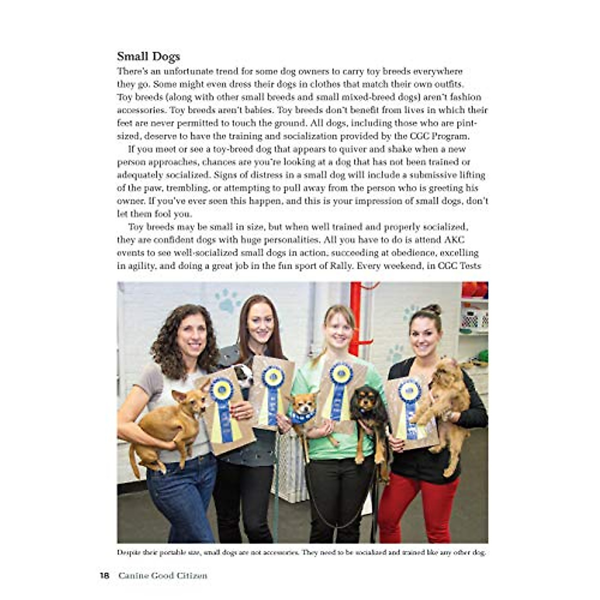 Canine Good Citizen: The Official AKC Guide, 2nd Edition: Ten Essential Skills Every Well-Mannered Dog Should Know (CompanionHouse) How to Train, Practice, and Pass the American Kennel Club's CGC Test