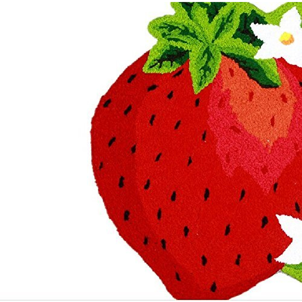 Newrara Strawberries Modern Shag Area Rugs Strawberries Mat Living Room Carpet Bedroom Rug for Children Play Solid Home Decorator Floor Rug and Carpets