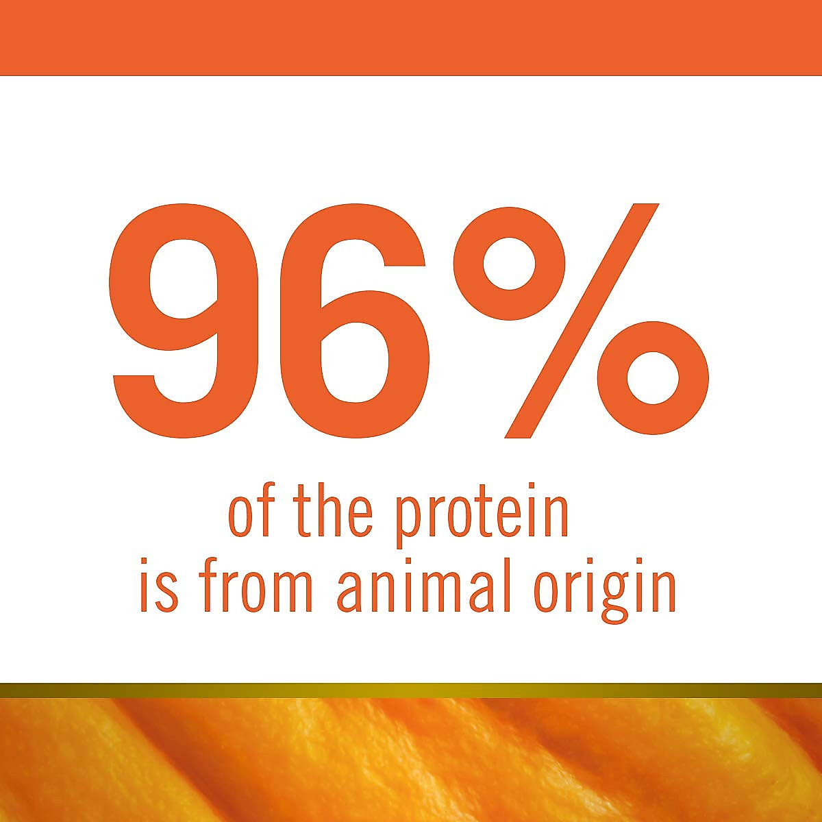 FARMINA Dry Mini Puppy Food, Lamb, Pumpkin and Blueberry Recipe, 5.5 lbs