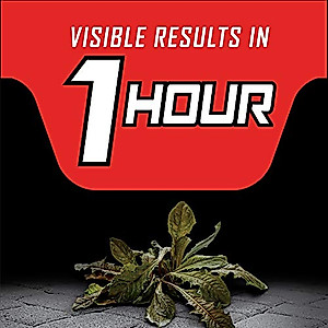 Ortho GroundClear Year Long Vegetation Killer Refill - Visible Results in 1 Hour, Kills Weeds and Grasses to the Root, Up to 1 Year of Weed and Grass Control, 1.33 gal.