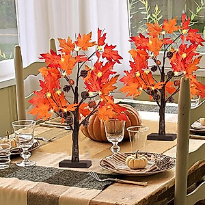 YEAHOME Fall Decorations for Home, 2 Pack 24”/2FT Lighted Fall Maple Leaves Tree with Warm White LEDs Autumn Decor, Pumpkin Lampshade, Pine Cone, Acorn Ornaments Battery Powered Timer for Thanksgiving