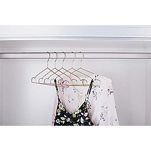 Weixuan Jinse Adult 17.7H