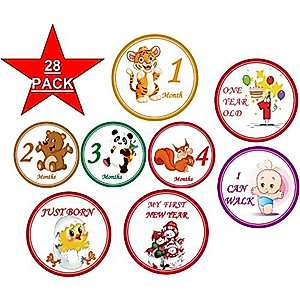 Baby Monthly Stickers 28 - First Year Stickers for Infant - Belly Stickers Boy Girl - Mount to Mount Birthday and all Hollidays - 4 inch diameter