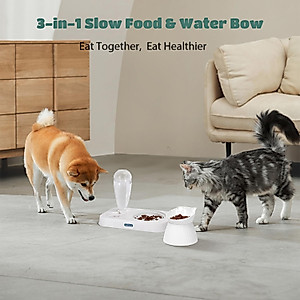 Nobleza 3-in-1 Slow Pet Feeder Bowl Bottle Set, Automatic Pet Dispenser Treat Food & Water Bowl with 15° No Spill Tilted Raised Bowl for Cat Dog Small Medium Pet Kitten Puppy Bunny Healthy Food Water