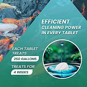 Koi Pond Cleaner Tablets - Makes The Pond Clear with Natural Pond Bacteria & Enzymes, Ideal for Koi Fish Pond - 25 Pcs. Koi Pond Muck and Sludge Remover Tablets, Safely Provides Clean and Clear Water