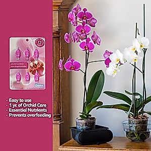 Chrysal Orchid Food Drops — Orchid Care — One Pack for a Year Supply — Concentrated Flower Food for All Species of Orchids — Ideal Florist Supplies — Outdoor and Indoor Plant Food