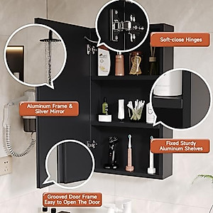 Seenvlog Bathroom Medicine Cabinet with Lights, 15.7" x 27.5" LED Mirror Cabinet, 3-Color Temp, Black Bathroom Storage Cabinet Anti-Fog, Wall Mount