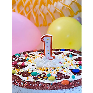 Baby's First Birthday Photo Album - 1st Birthday Girl Brag Book