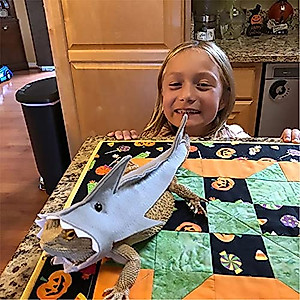 SEIS 3 Pcs Shark Bearded Dragon Costume Felt Cloth Lizard Outfit Halloween Small Animal Clothes Harness for Chameleon Gecko Anole Iguana Amphibians (1 Pcs (L))