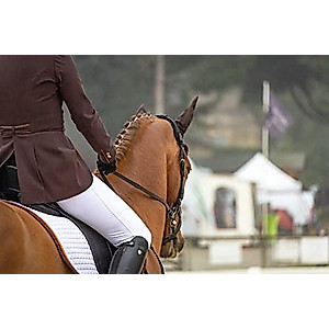 DOUBLE ACTION (Cooling and Warming Effect) Liniment Gel for Sore Muscles and Joints made with Camphor and Menthol for Horses. Effective Post Workout Recovery and Pre-Workout Leg and Spinal Care Rub