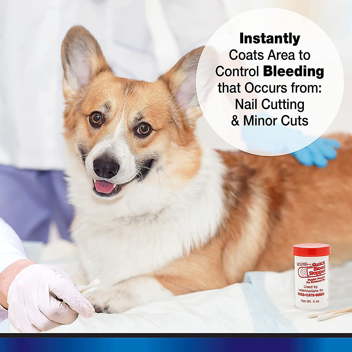 Four-Paws 4 Pack of Quick Blood Stopper Kits, 0.5 Ounces each, Antiseptic Styptic Powder and Swabs for Dogs, Cats and Birds