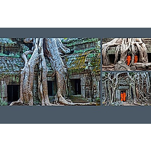 Trees: Between Earth and Heaven