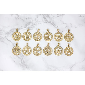 CaliRoseJewelry 14k Yellow Gold Pisces Zodiac Pendant Necklace, 22"