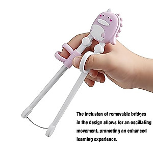 PandaEar 2 Pairs Kid Chopsticks, Dinosaur Children Learning Practice Chopsticks for Beginners Toddler