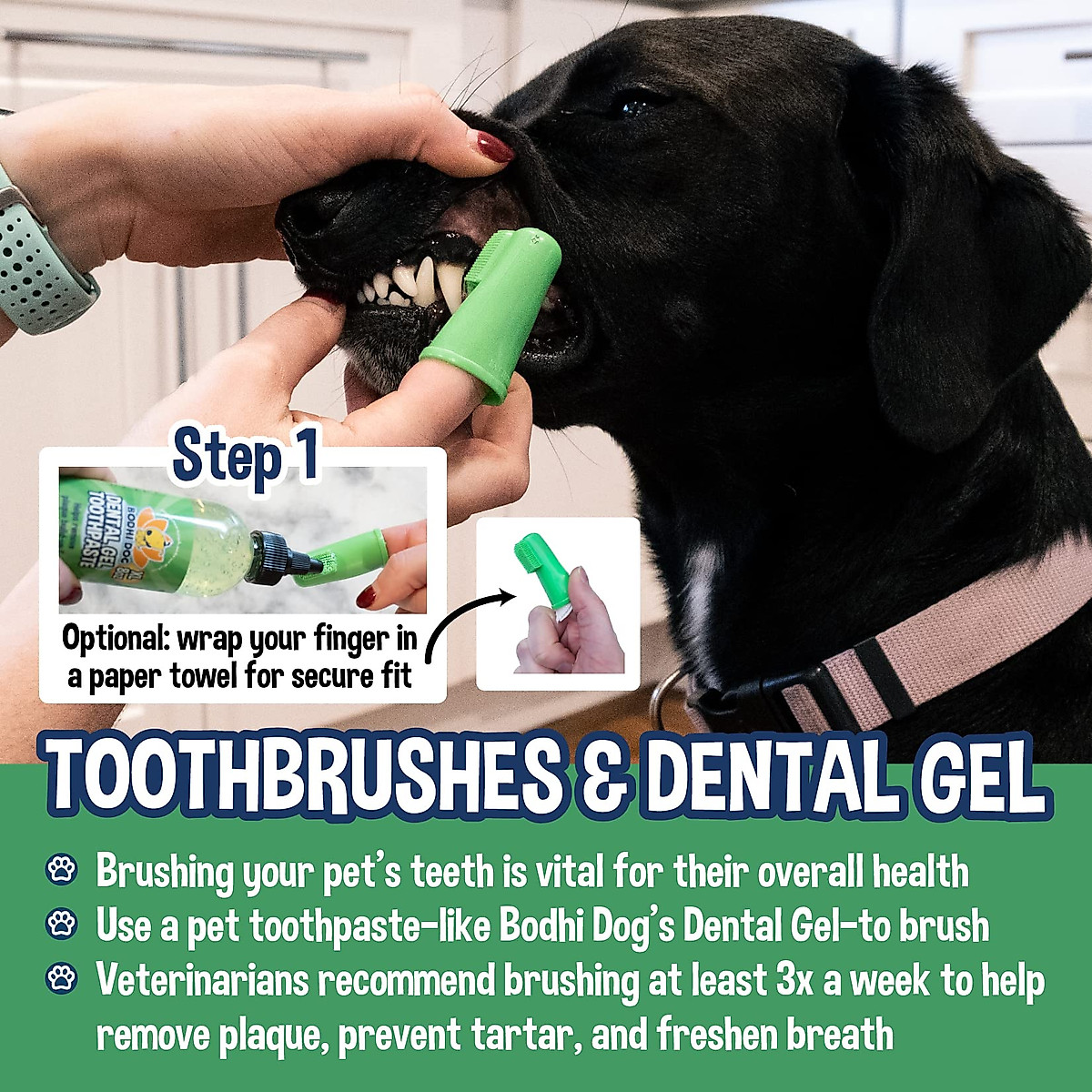 Bodhi Dog 50 Count Finger Toothbrushes + Dental Gel Bundle