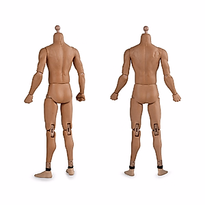 DS. DISTINCTIVE STYLE 1/6 Scale Male Body Narrow Shoulder Standard 12 Inch Action Figure with 8 Interchangeable Hands for Most Head Sculpt