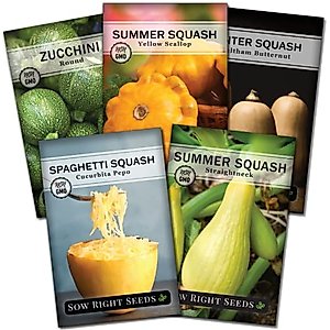 Sow Right Seeds - Squash Seed Collection for Planting - Individual Packets Straightneck Summer, Yellow Scallop, Round Zucchini, Waltham Butternut and Spaghetti Squash, Non-GMO Heirloom Seeds