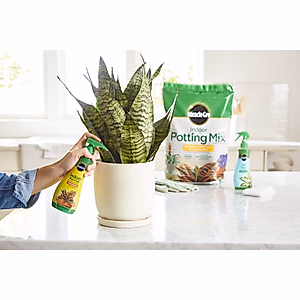 Miracle-Gro Indoor Potting Mix, Indoor Plant Food & Leaf Shine - Bundle of Potting Soil (6 qt.), Liquid Plant Food (8 oz.) & Leaf Shine (8 oz.) for Growing, Fertilizing & Cleaning Houseplants