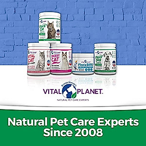 Vital Planet - Flora Cat Probiotic Powder Supplement with 20 Billion Cultures and 10 Diverse Strains High Potency Probiotics for All Cats for Feline Digestive and Immune Support 30 Scoops 3.92 oz