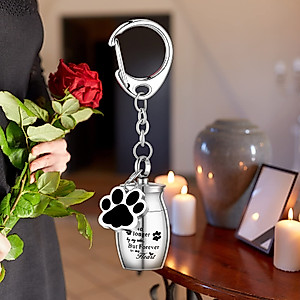 Tudomro Cylinder Cremation Dog Ashes Keepsake Urn Keychain Memorial Ashes Stainless Steel Pet Puppy Dog Paw Charm with Storage Bag(Silver)