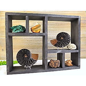 Mini Crystal Display Shelf - Rustic Wall-Mounted Floating Shelf for Farmhouse Décor. Great Nightstand/Apothecary Shelf for Fossils, Reiki Crystals or Countertop Organizer (Violet)
