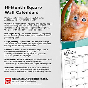 I Love Kittens | 2023 12 x 24 Inch Monthly Square Wall Calendar | Foil Stamped Cover | BrownTrout | Animals Cats Feline