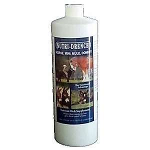 Bovidr Laborato Equine Nutri Drench - Quart