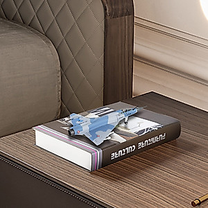 HANGHANG 1/100 Mirage 2000 Model Fighter Plane Metal Aircraft Model Military Airplane Model Diecast Model Plane for Collection or Gift