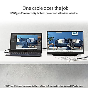 ASUS ZenScreen 15.6” 1080P Portable USB Monitor (MB166C) - Full HD, IPS, USB Type-C, USB-Powered, Eye Care, Tripod Mountable, Anti-Glare Surface, Protective Sleeve, 3-Year Warranty, 8.9"x14.2"x0.5"